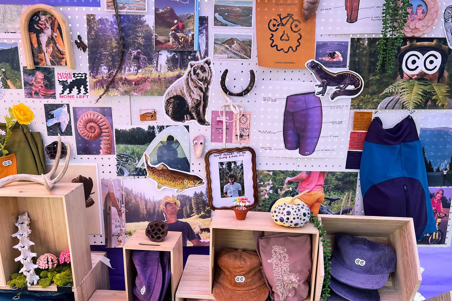 Events – Curious Creatures