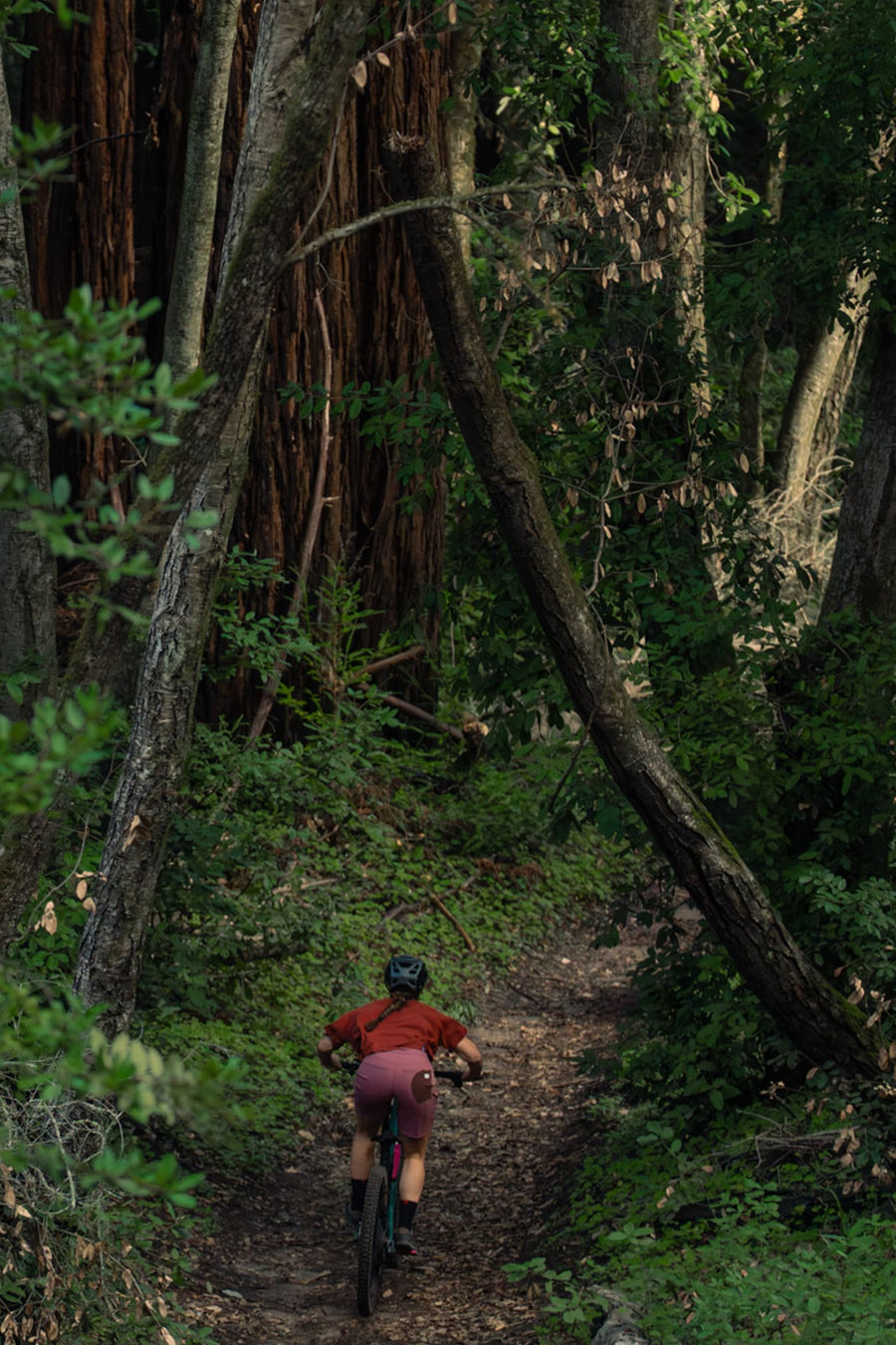 Ramble Scramble Short - Curious Creatures MTB Shorts - Bozeman, MT