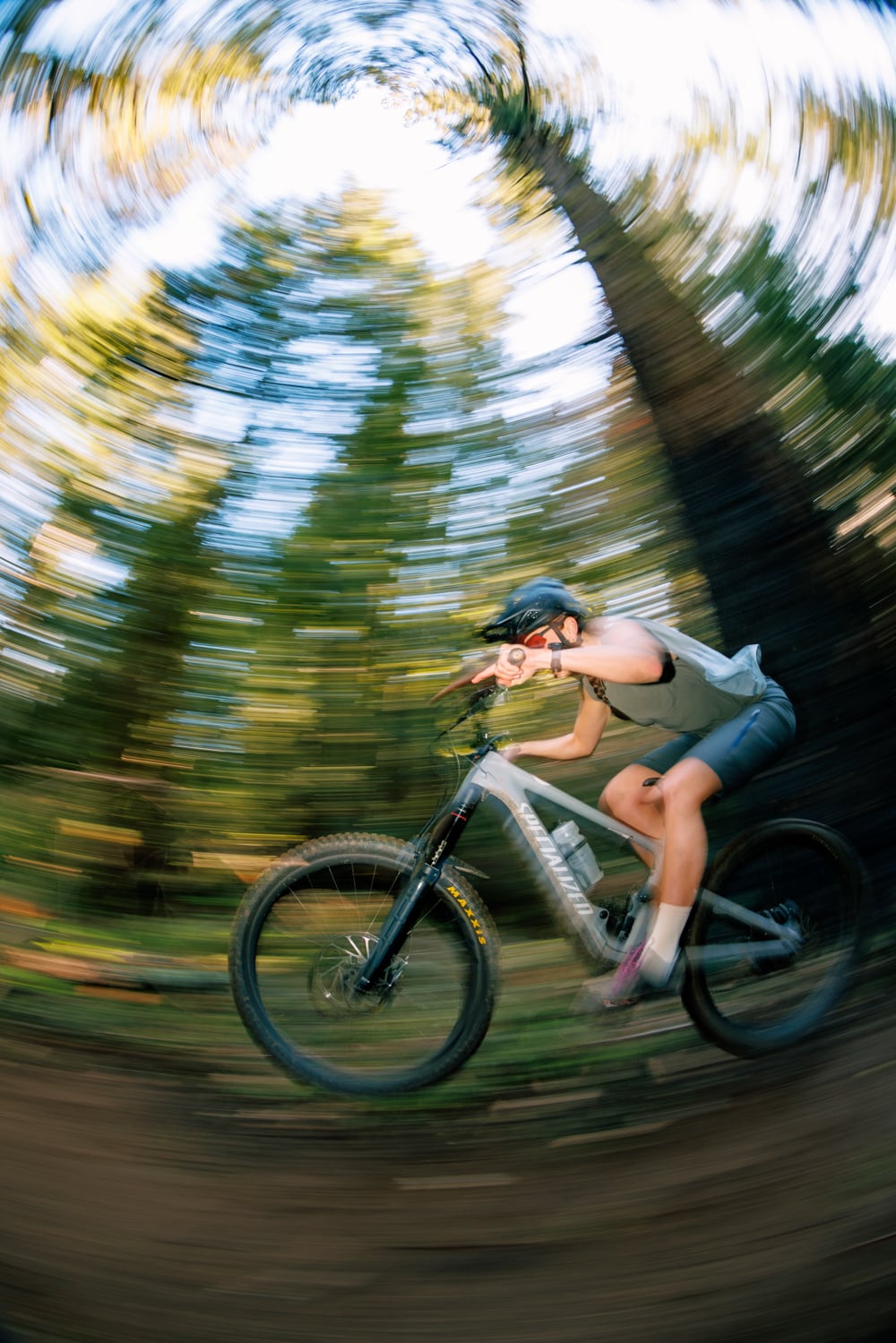 Senderella Tank - Curious Creatures | Fearless MTB Apparel Bozeman, MT
